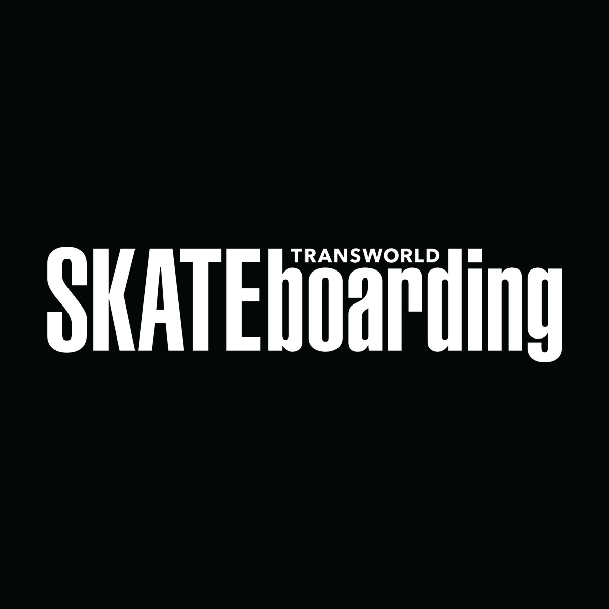 Transworld Skateboarding Logo