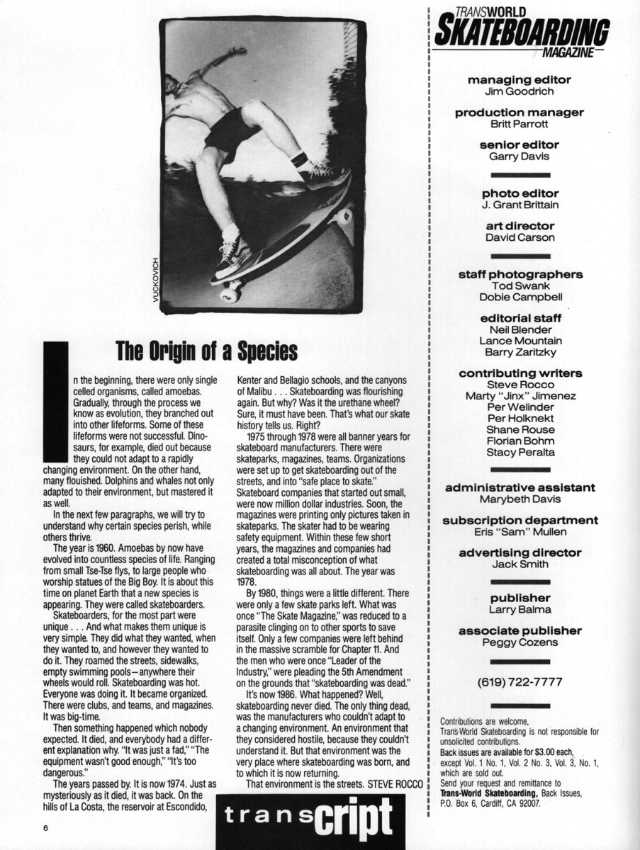 Classsic Text: Steve Rocco, The Origin of a Species, 1986