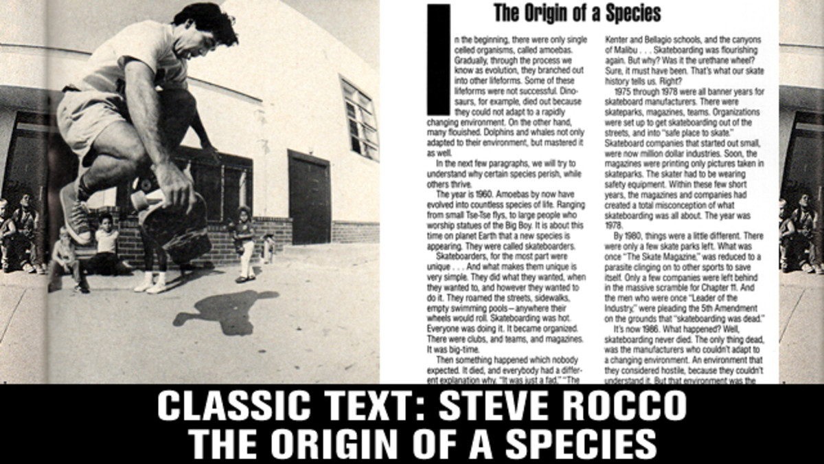 Classsic Text: Steve Rocco, The Origin of a Species, 1986