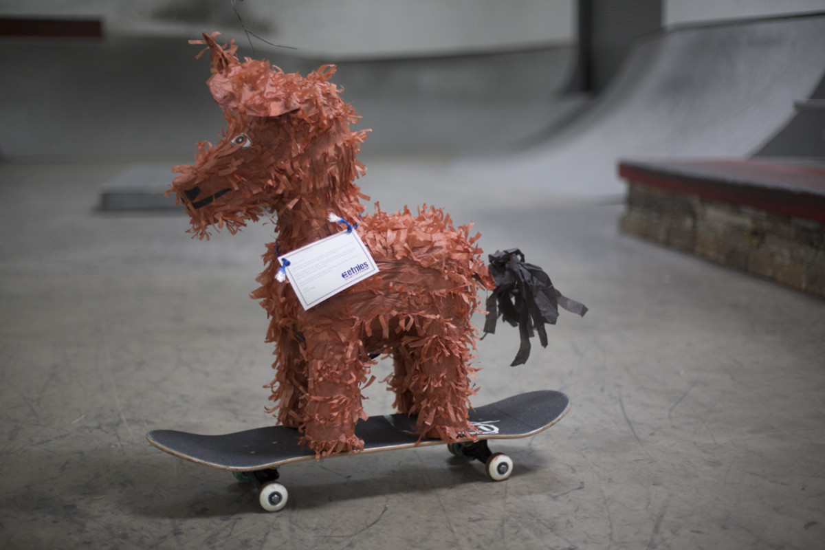 Jose Rojo's etnies Pinata & Pro Shoes