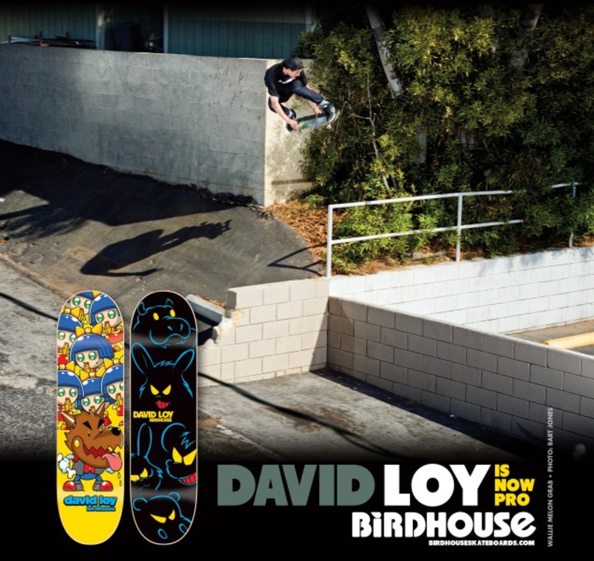 David Loy Pro For Birdhouse