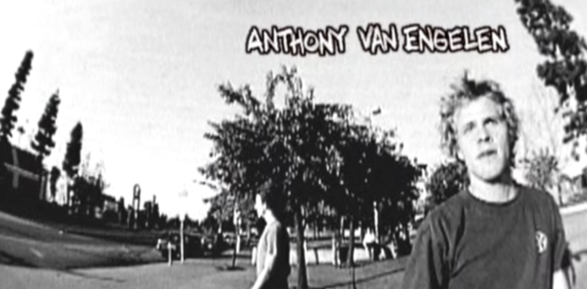 Anthony Van Engelen and Jason Dill | Feedback
