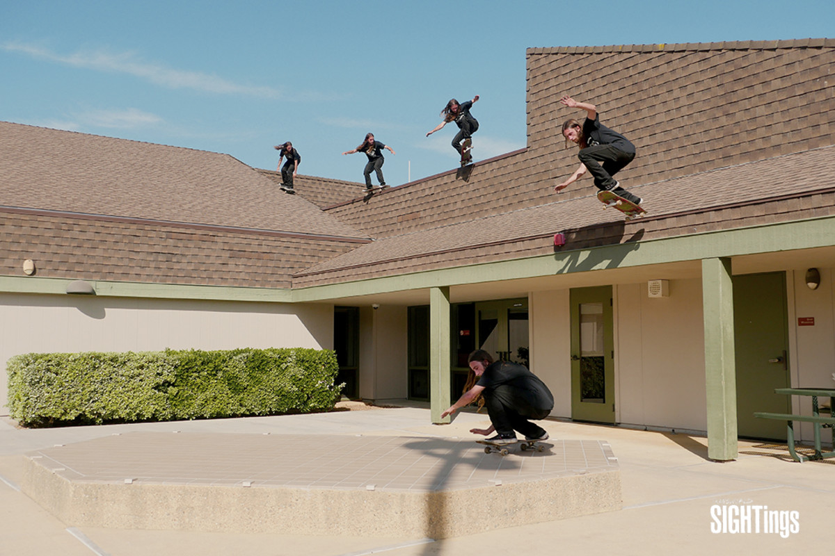 SIGHTINGS: March 2020