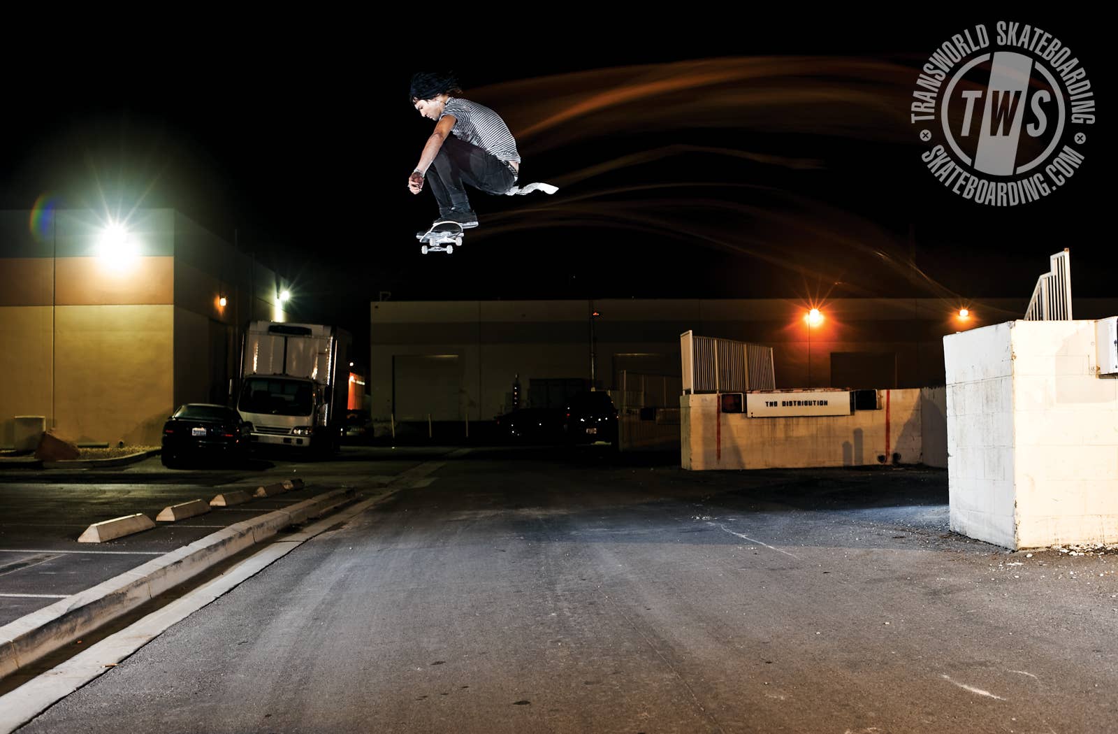 Top 10 Searched Skaters Of 2010