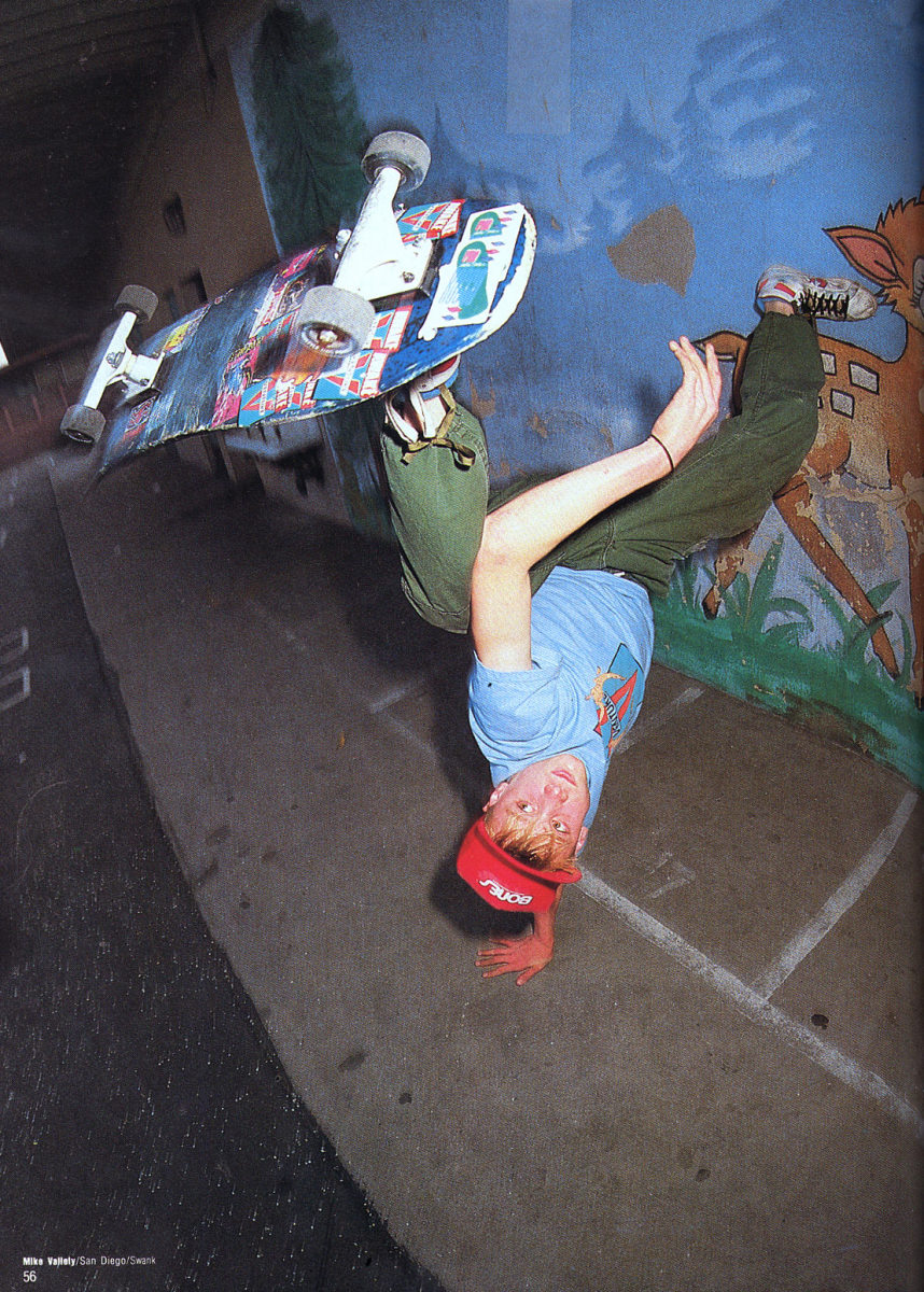 Mike Vallely: A Taxonomical Guide - TransWorld SKATEboarding Magazine