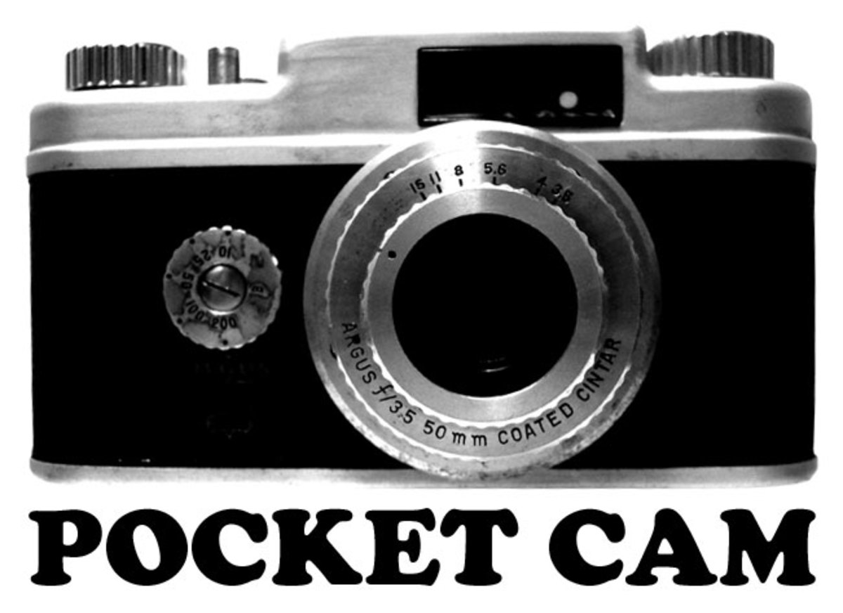 Pocket Cam #7, Toy Machine Team - TransWorld SKATEboarding Magazine