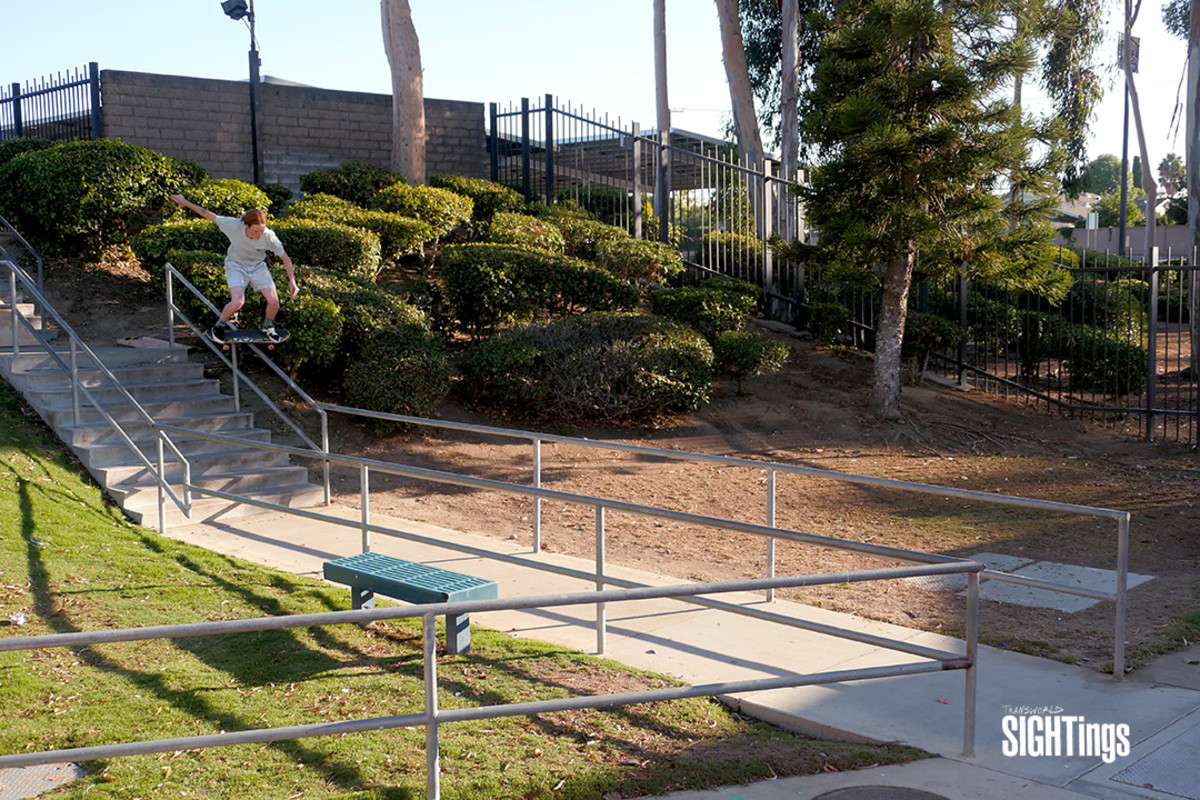 SIGHTINGS: March 2020