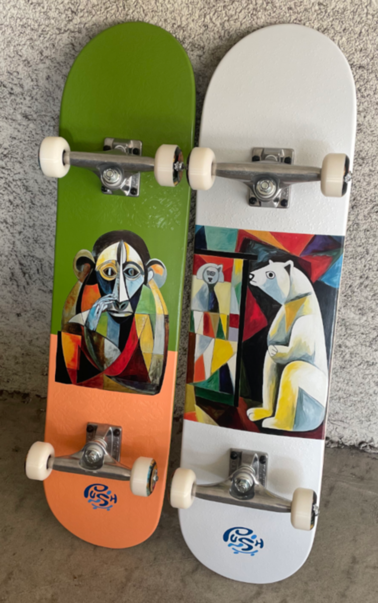 Push Skateboards Partners with 'Make Life Skate Life' to Build ...