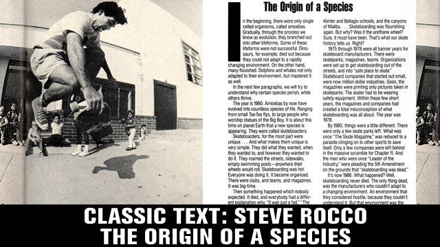 Classsic Text: Steve Rocco, The Origin of a Species, 1986 - Skateboarding