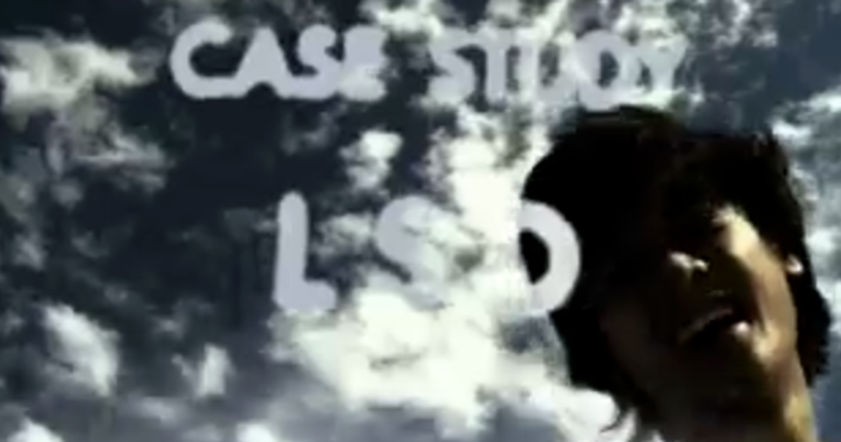 Jimmy Cao, SK858, Ryan Zammit, Andrew Sprigle, Alex Caceres, Terry ...