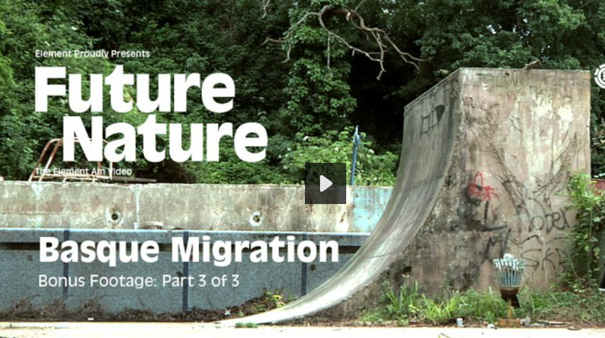 Element Basque Migration - Skateboarding