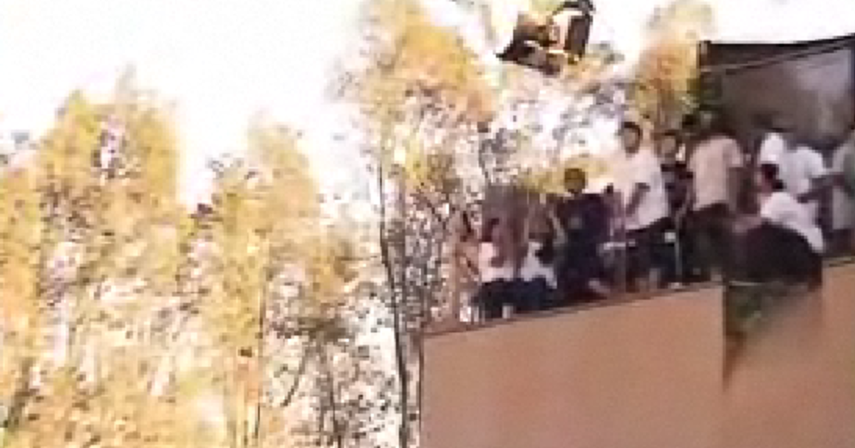 Christian Hosoi, Jeff Grosso, Max Schaff, Darren Navarrette, Al ...