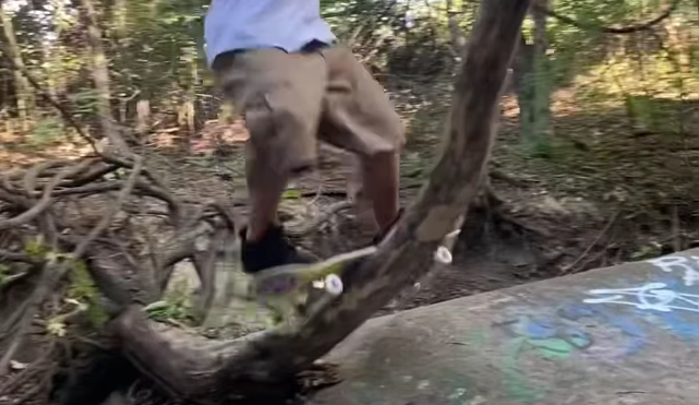 Video: Skater Makes Good Use of Fallen Tree At Local Ditch Spot ...