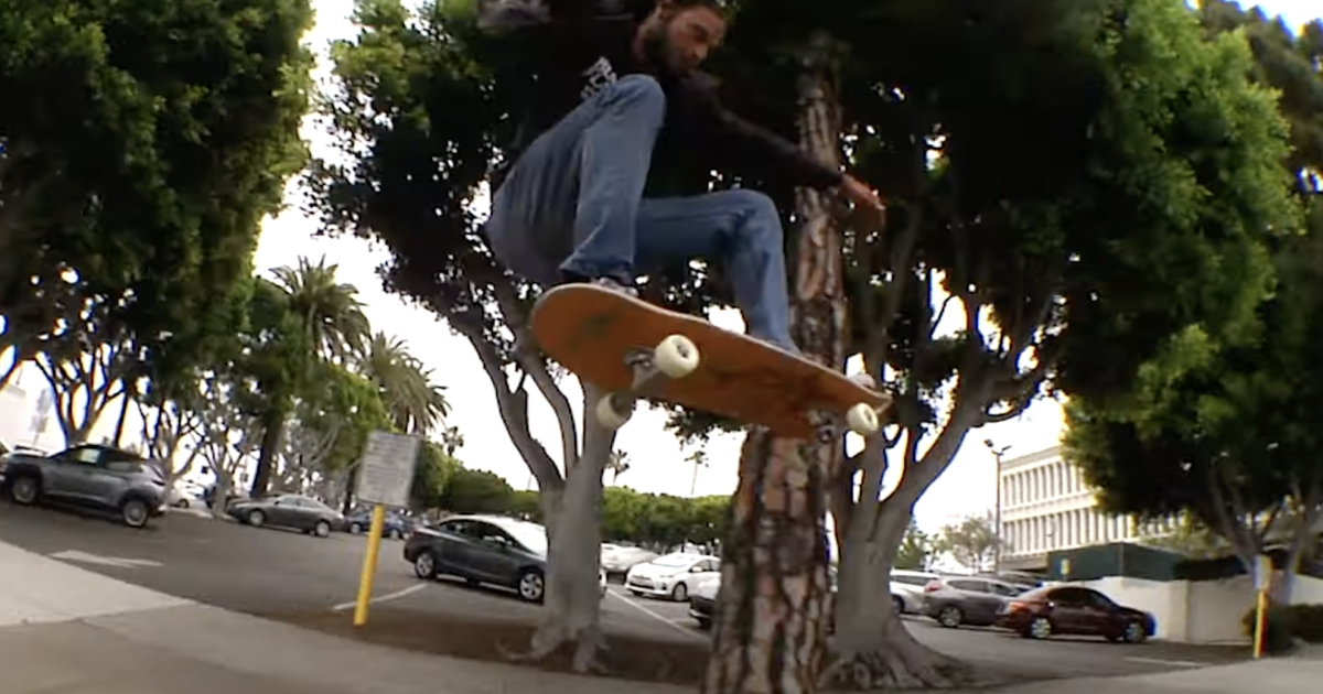 Brandon Cortez's latest video has some of our favorite Southern ...