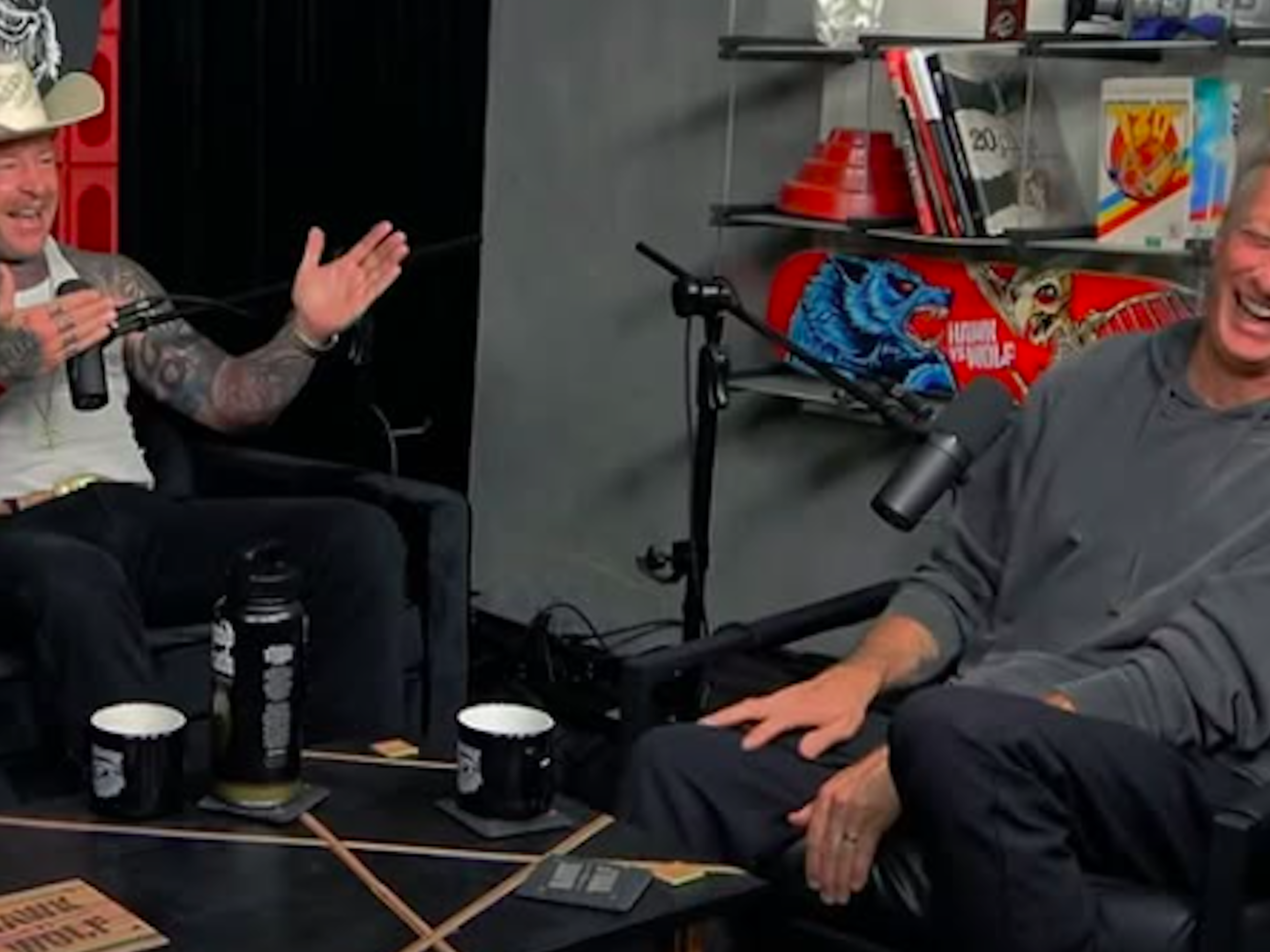 Tony Hawk Announces Indefinite Hiatus for 'Hawk vs. Wolf' Podcast in ...