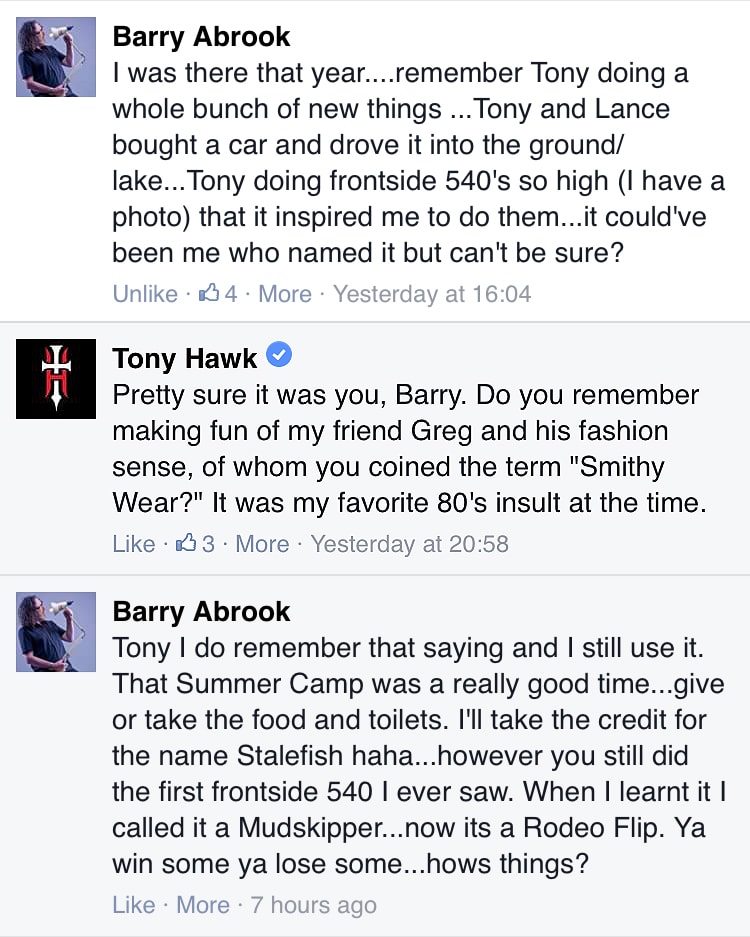 Origins of the Stalefish: Follow Up - Skateboarding